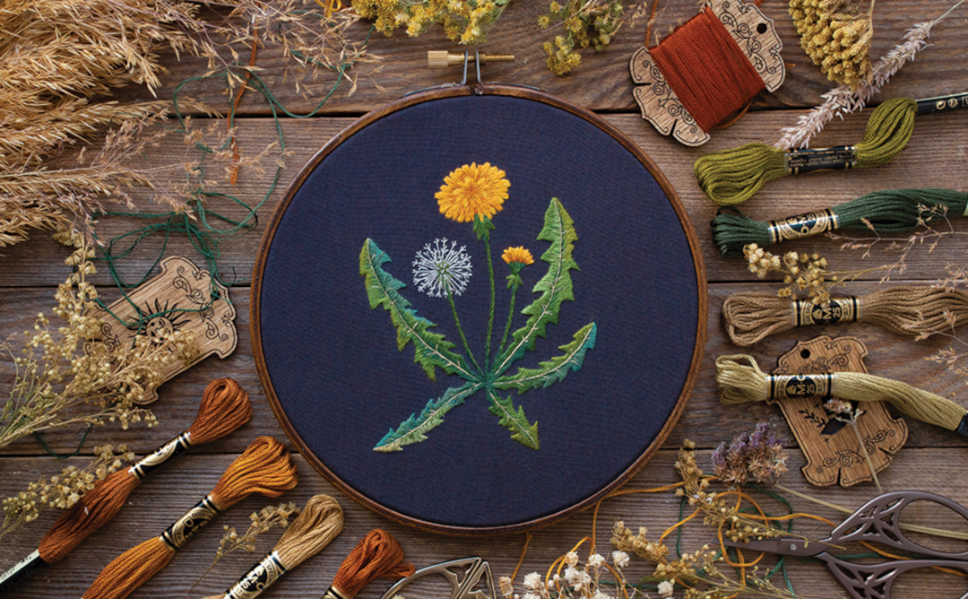 Paint With Thread: A Step-By Step Guide to Embroidery Through the ...