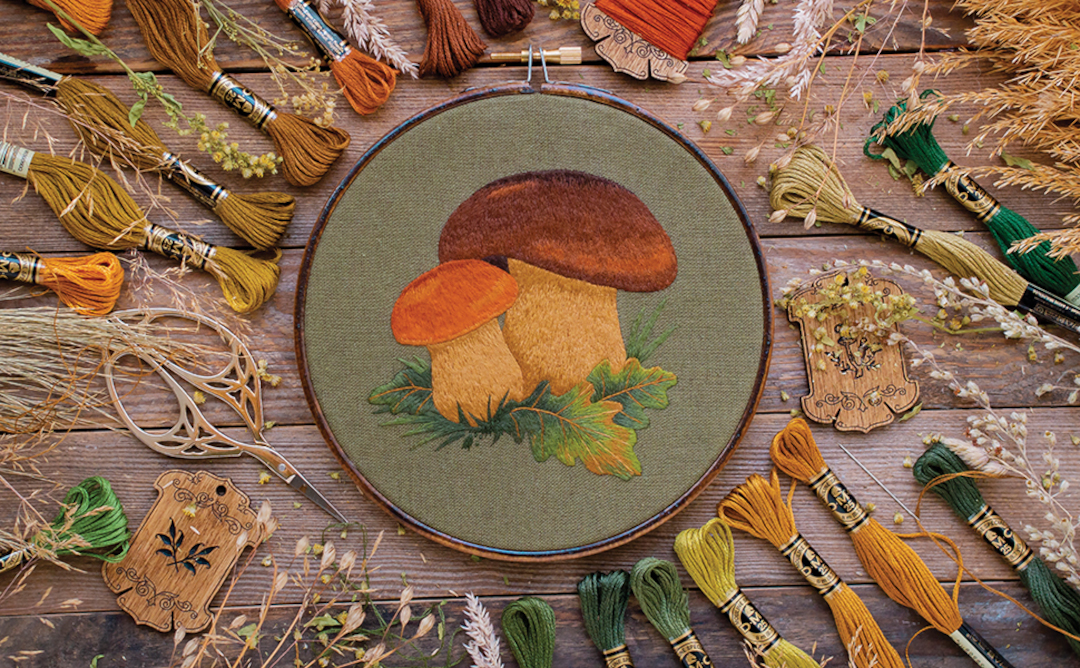 Paint With Thread: A Step-By Step Guide to Embroidery Through the ...