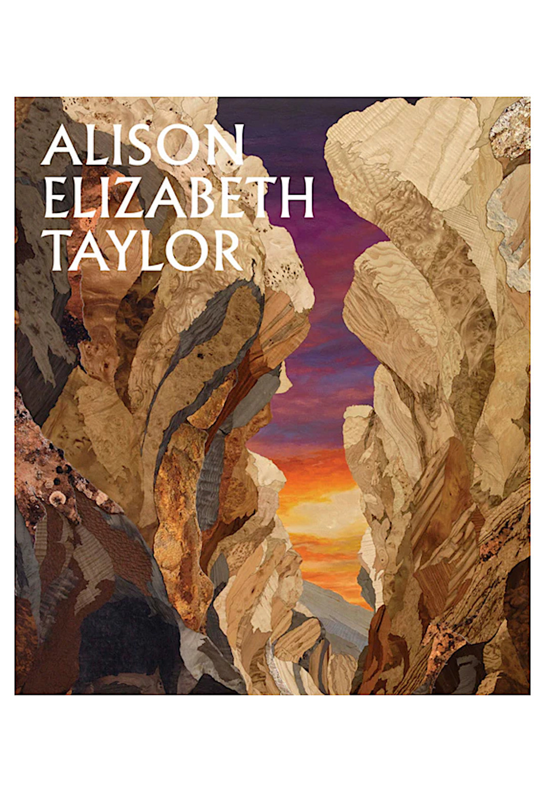 Alison Elizabeth Taylor: The Sum of It by Addison Gallery of American ...